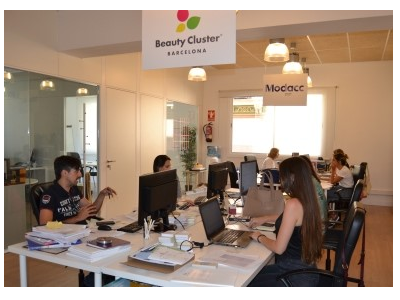 Els clústers nàutic, biomassa, logística i a... - Govern.cat